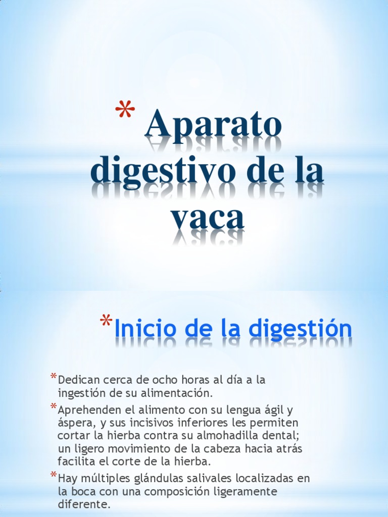 Aparato Digestivo de La Vaca | PDF | Rumiante | Digestión