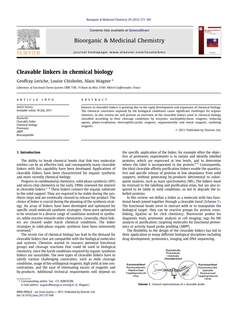 Cleavable Linkers | PDF | Chemical Biology | Protease