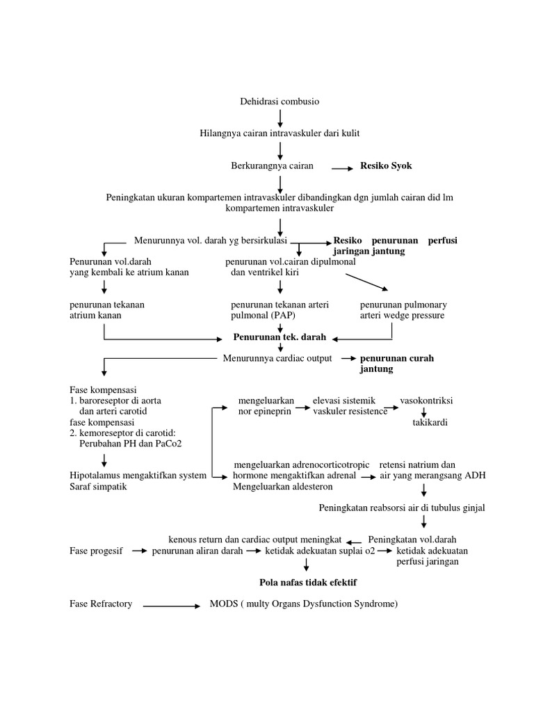 Pathway Dehidrasi Combusio | PDF