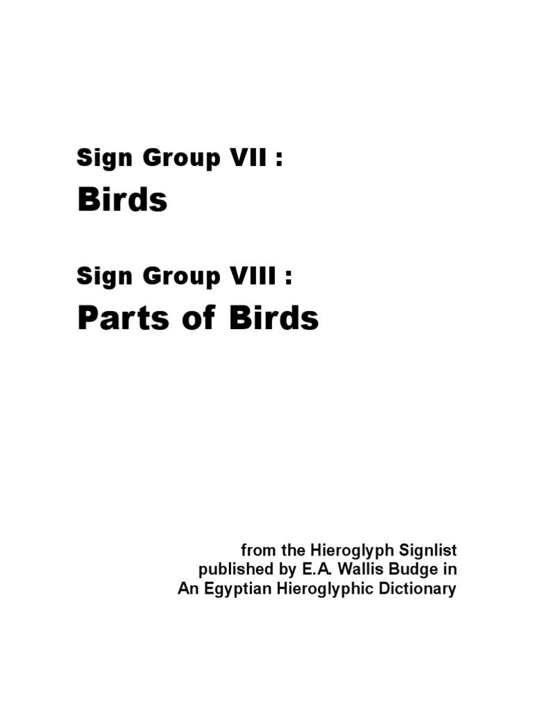 Bird Hieroglyphs From Budge and CCER | PDF