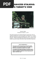 Willey Studios Chelda Model 3 Sets 81 PDF | PDF | Business