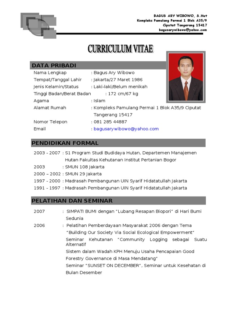 CV Bagus Ary Wibowo | PDF