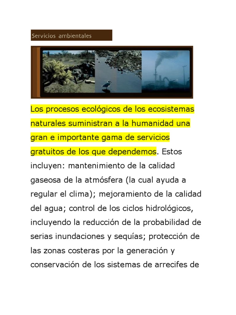 Los Procesos Ecológicos de Los Ecosistemas Naturales Suministran A La ...