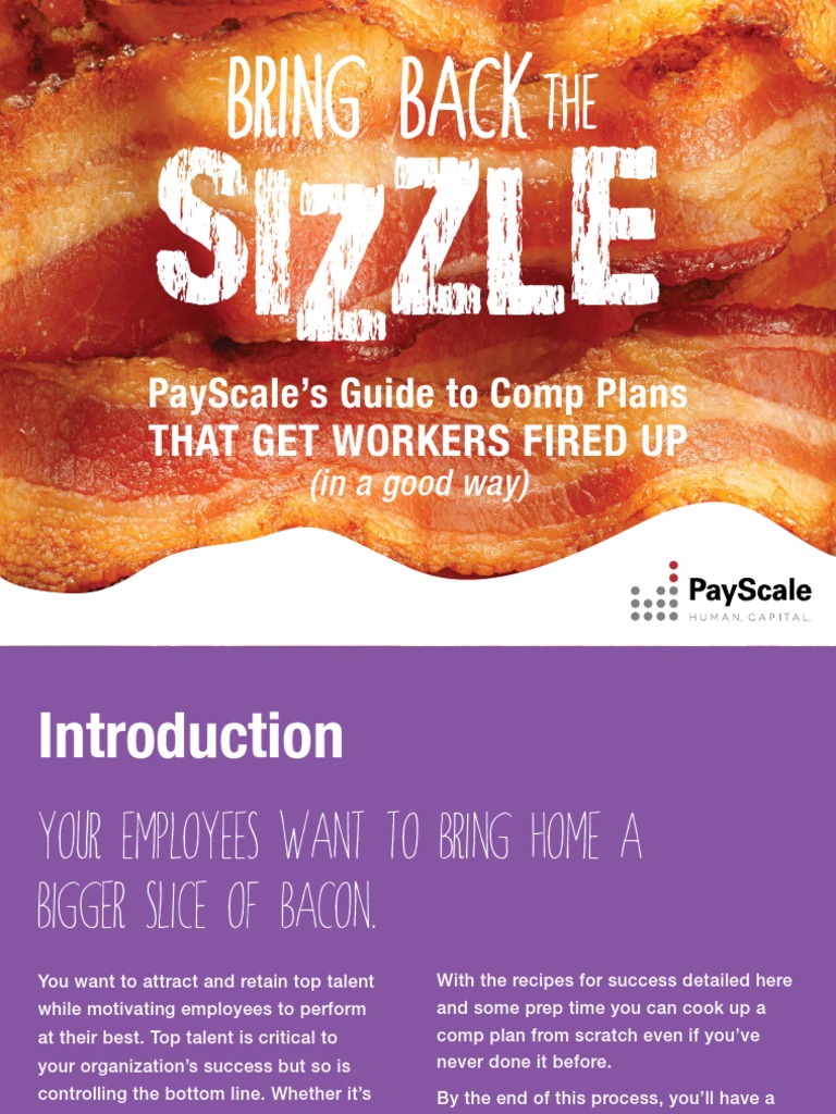 PayScale Bring Back The Sizzle Ebook | PDF | Employment | Strategic Management