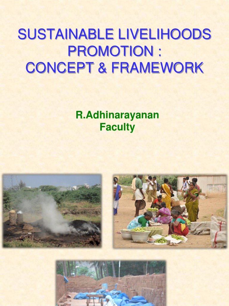 DFID Framework | PDF | Sustainability | Poverty