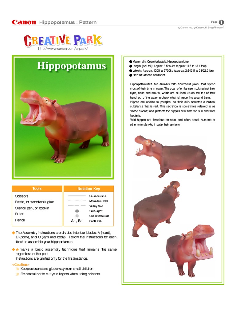 Hippopotamus: Pattern: Notation Key Tools | PDF