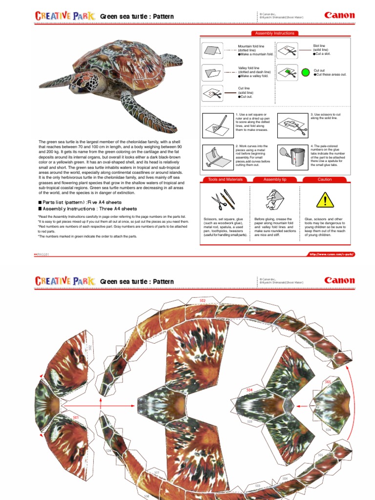 Green Sea Turtle: Pattern: Assembly Instructions | PDF | Foreign ...
