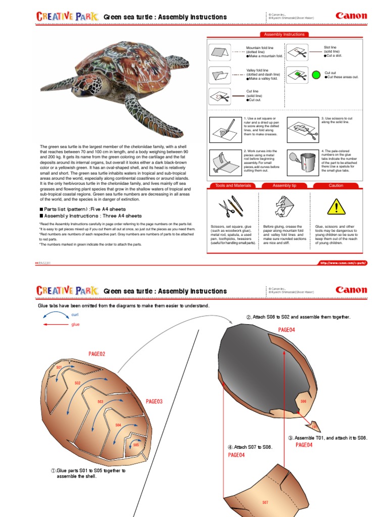 Green-Sea-Turtle I e A4 | PDF | Home & Garden
