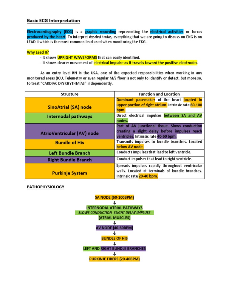 An Overview of Basic Electrocardiography Interpretation Including Heart ...