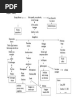 Pathway DM Gangren | PDF