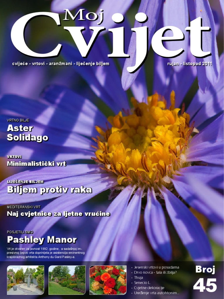 MojCvijet 45 | PDF