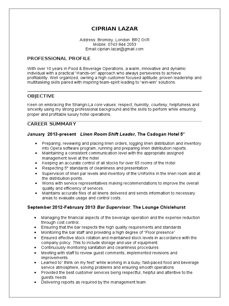 Ciprian Lazar: Professional Profile | PDF | Inventory | Business