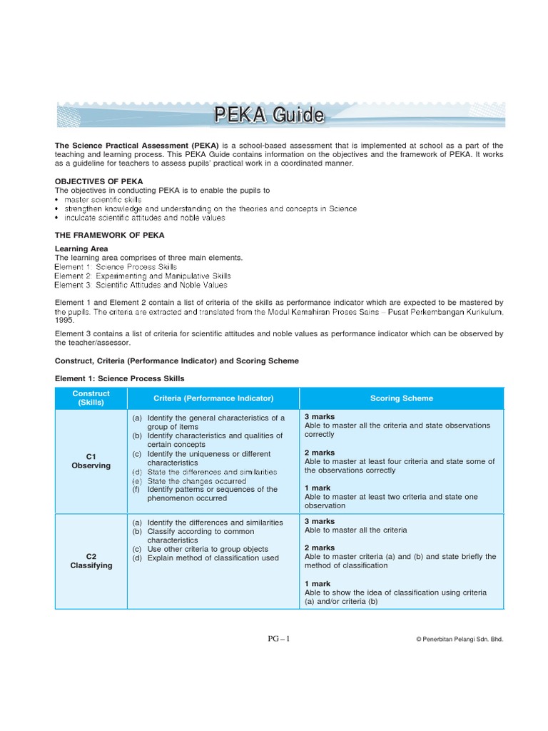 Peka Guide | PDF | Observation | Data