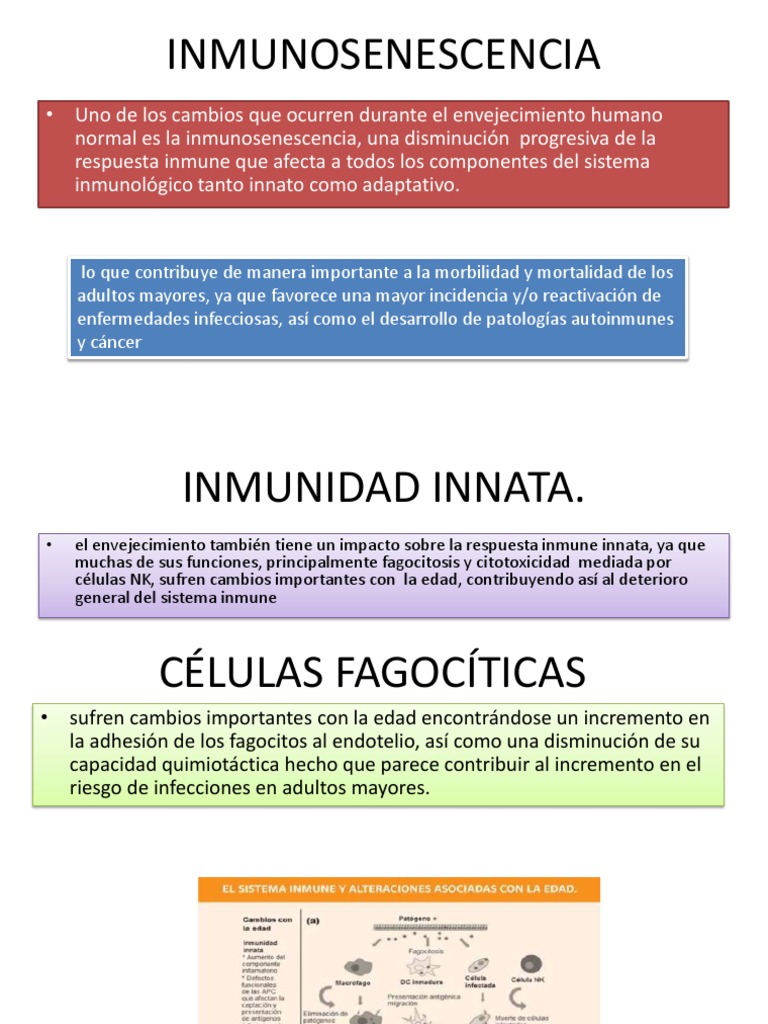 INMUNOSENESCENCIA | PDF | Sistema inmune | Envejecimiento