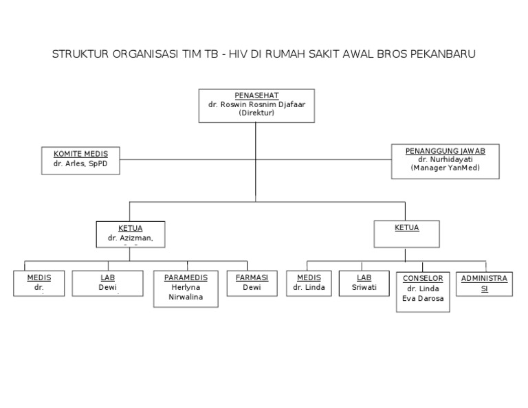 Struktur Organisasi Tim Tb-hiv