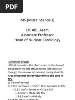 IPPA Nursing Process | PDF | Physical Examination | Heart