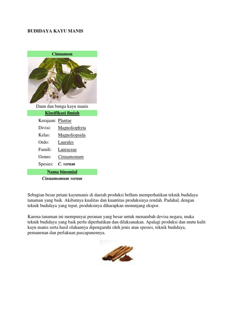 Budidaya Kayu Manis | PDF
