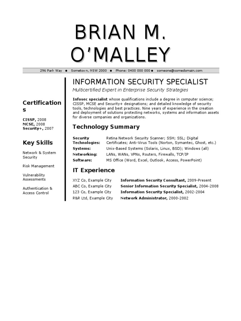 CV Template Information Security | PDF