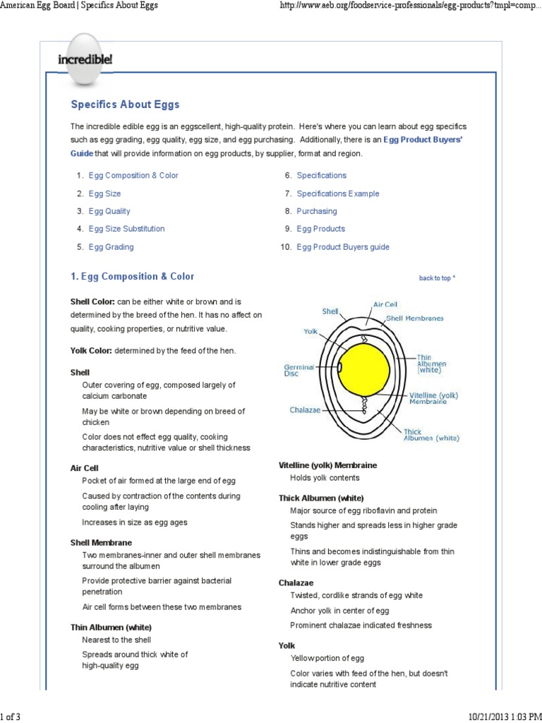 Egg Specifications and Quality Guide | PDF | Yolk | Egg As Food