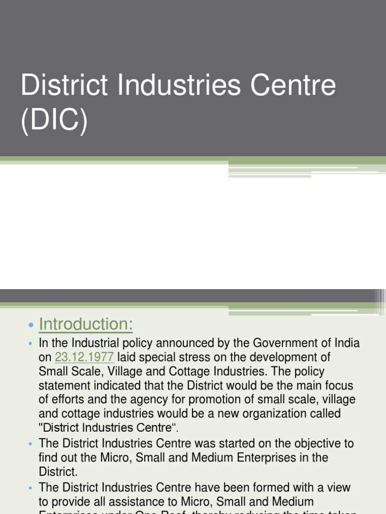 District Industries Centre (DIC) | PDF | Entrepreneurship | Economies