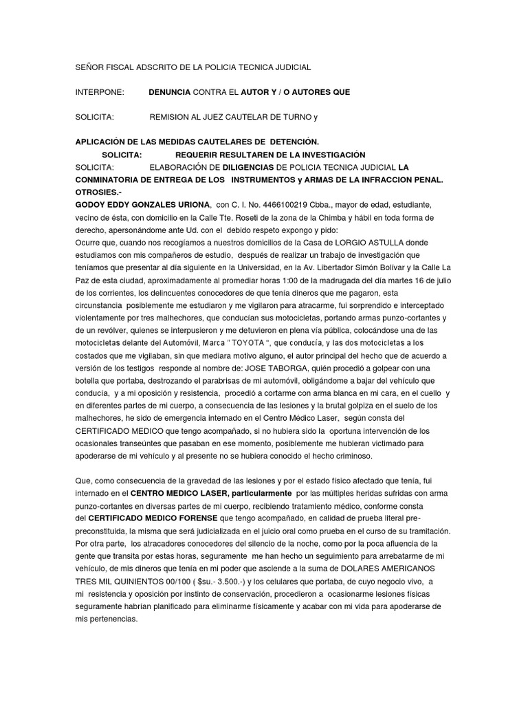 DENUNCIA DE ROBO.docx