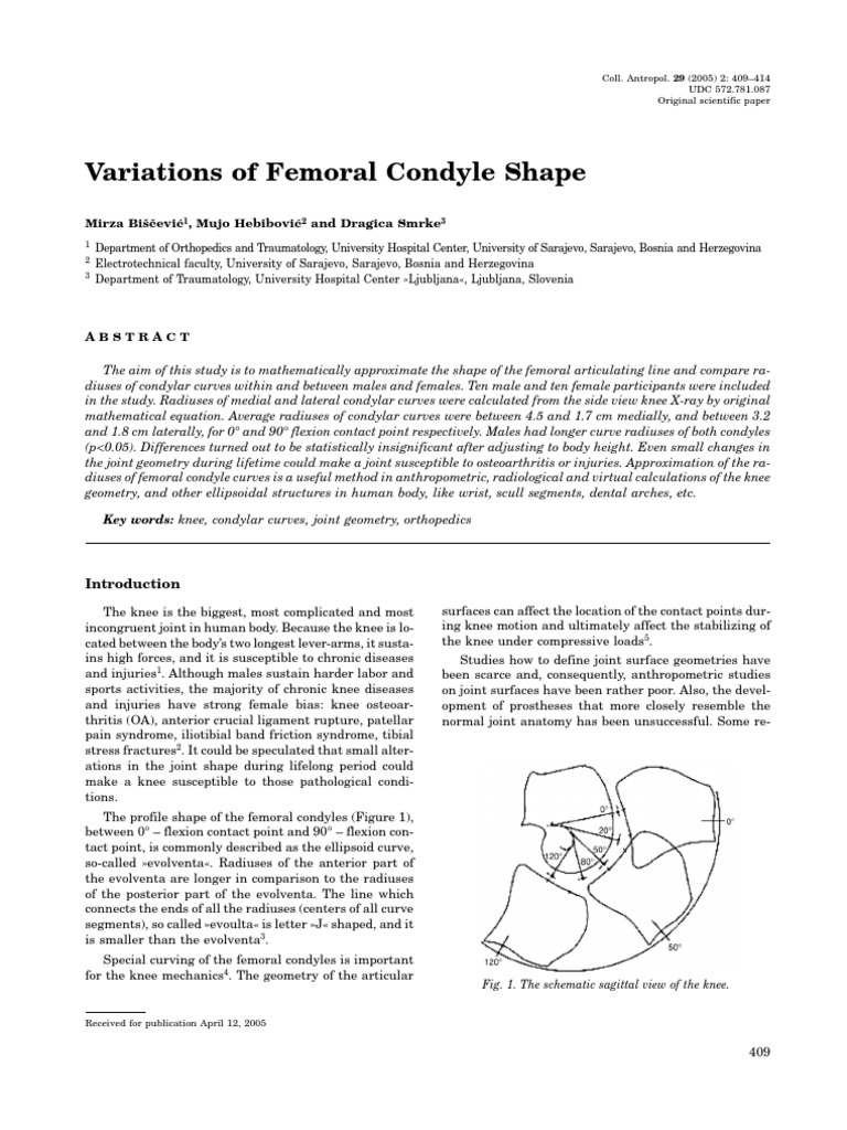 Biscevic Evoluta Evolventa | PDF | Knee | Anatomical Terms Of Location