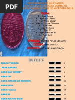 Medio SIM | PDF | Medio de crecimiento | Esterilización (Microbiología)