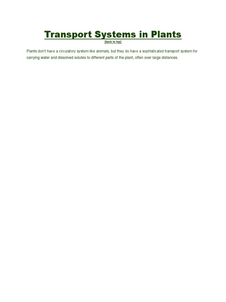 Plant Transport Systems Explained | PDF | Stoma | Tissue (Biology)