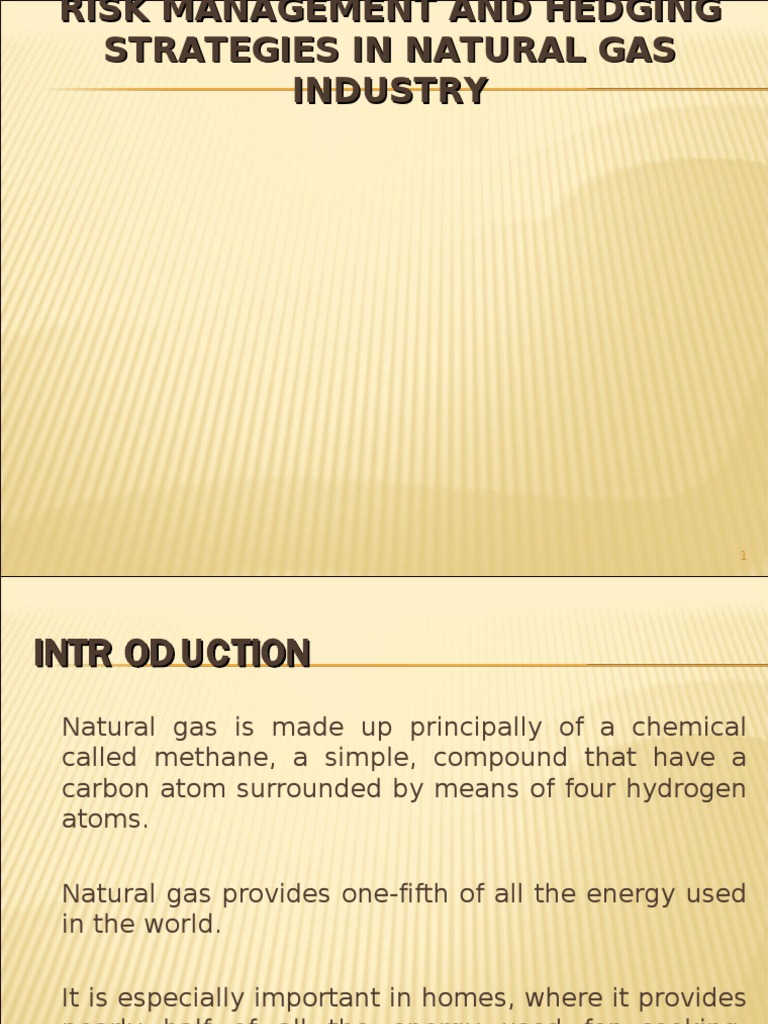 Risk MGMT & Hedging Strategies in Natural Gas Industry | PDF | Natural ...