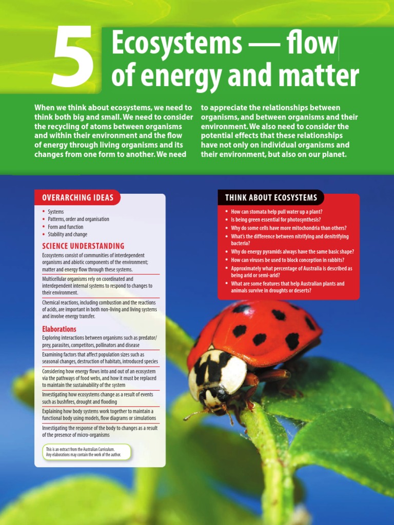 Sq9ac Ch05 Ecosystems Flow of Energy and Matter | PDF