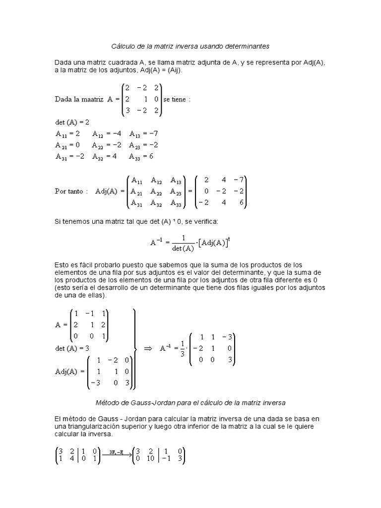 Cálculo de La Matriz Inversa Usando Determinantes | PDF