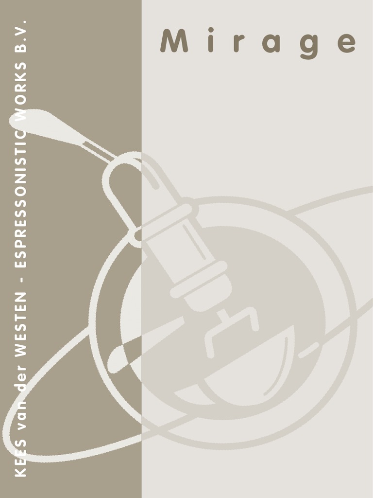 Brochure Mirage | PDF | Water Heating | Boiler