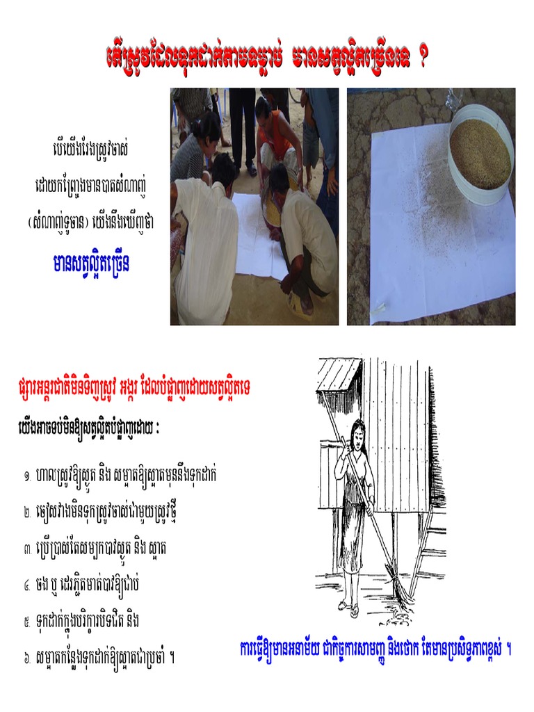 Storage Pest - Insect (Poster) | PDF