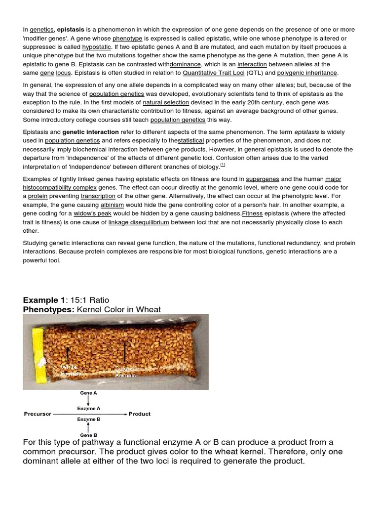 EpistaSis types and methods | Epistasis | Dominance (Genetics)