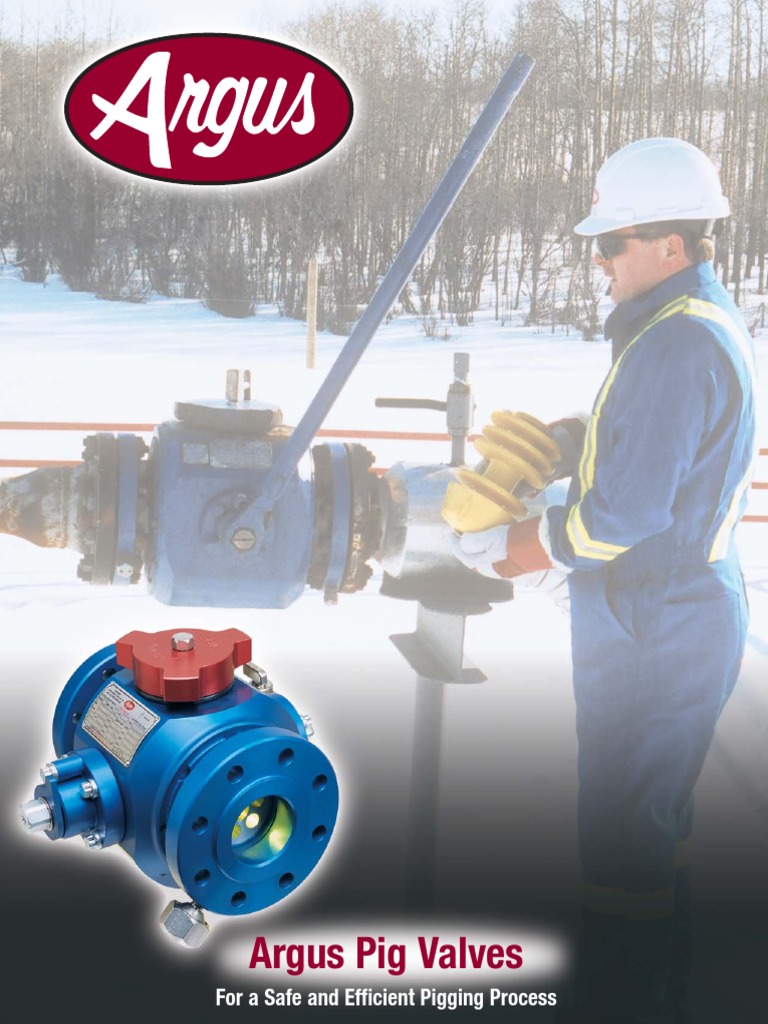 Argus Products | PDF | Valve | Switch