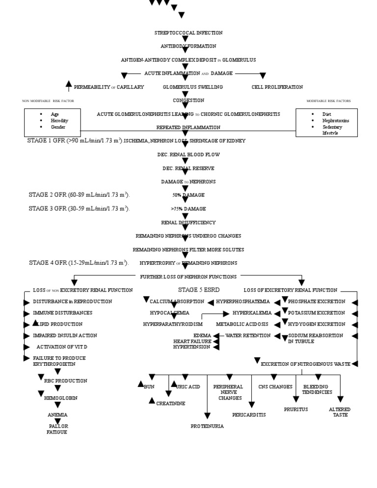 CKD Pathophysiology | PDF | Renal Function | Kidney