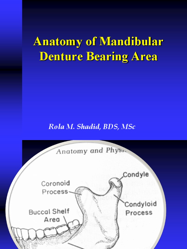 PPT Anatomy Of Mandibular Denture Bearing Area PowerPoint, 58% OFF