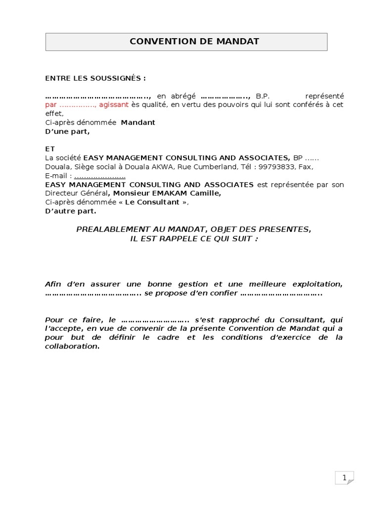 Convention de Mandat de Consultation | PDF | Consultant | Contrat de mandat