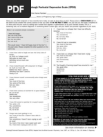 9523LJ r4r LUNSERS Questionnaire | PDF