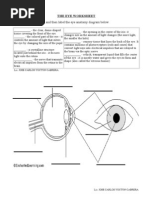 Human Ear Worksheet PDF | PDF | Ear | Hearing