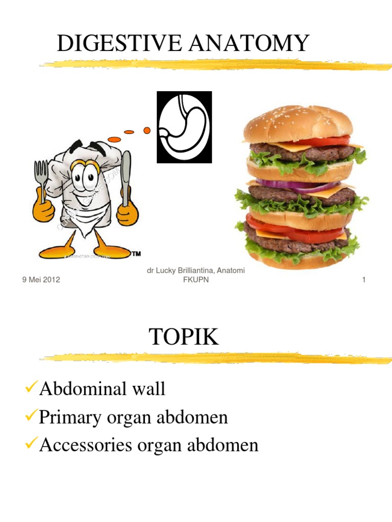 Digestion Anatomy A | PDF