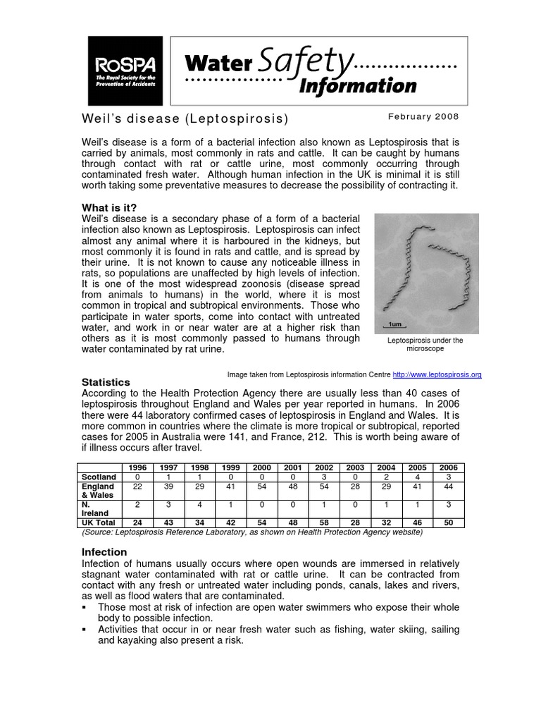 Weils Disease PDF | PDF | Infection | Clinical Medicine