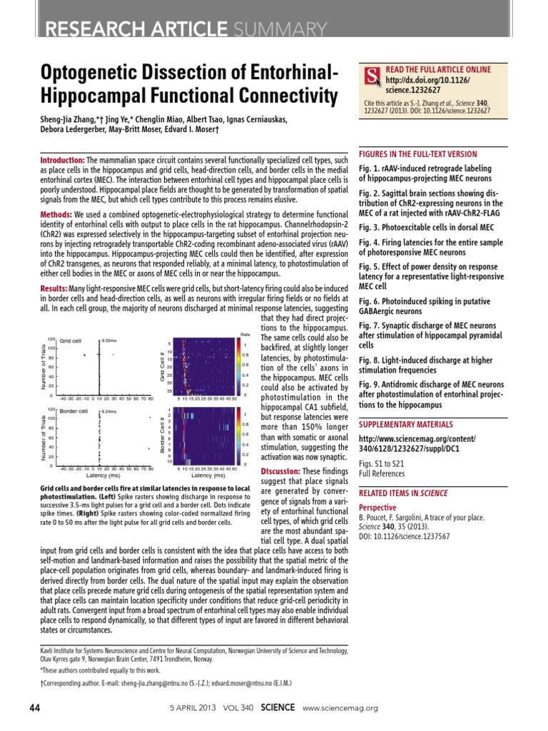 Place Cells - MEC To Hippocampus | PDF | Hippocampus | Hippocampus Anatomy