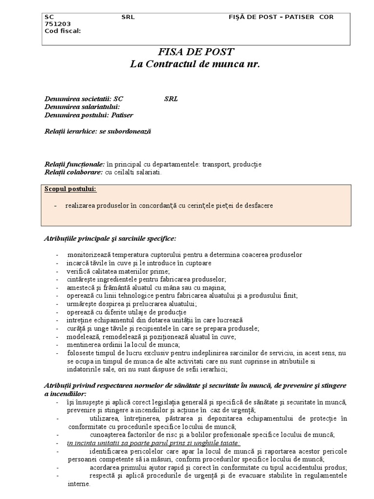 Fisa de Post PATISER Model | PDF