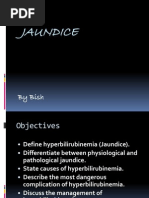 Neonatal Jaundice NICE Threshold Graphs | PDF | University College ...