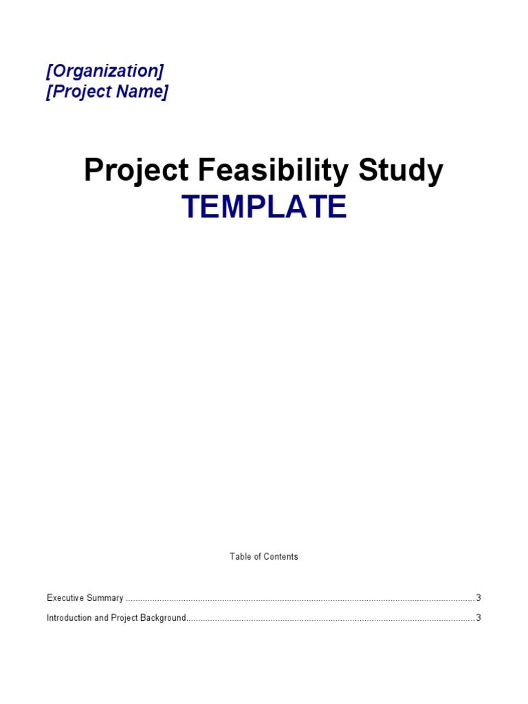 Template Feasibility Study | PDF | Feasibility Study | Economies