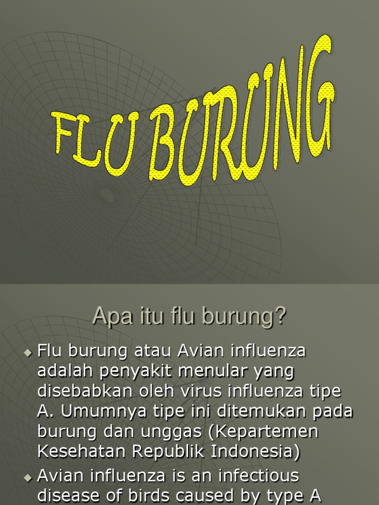 Apa Itu Flu Burung | PDF
