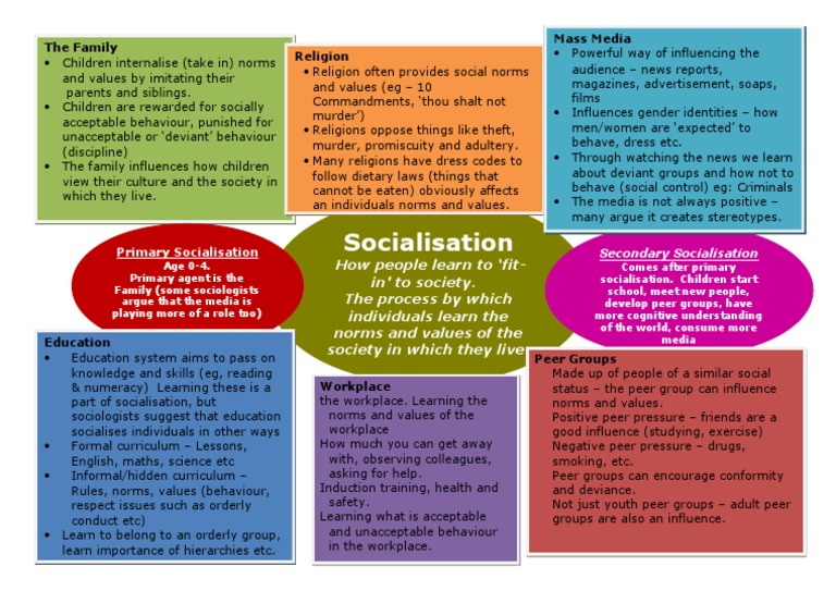 Socialisation Sheet Revision | PDF | Socialization | Norm (Social)