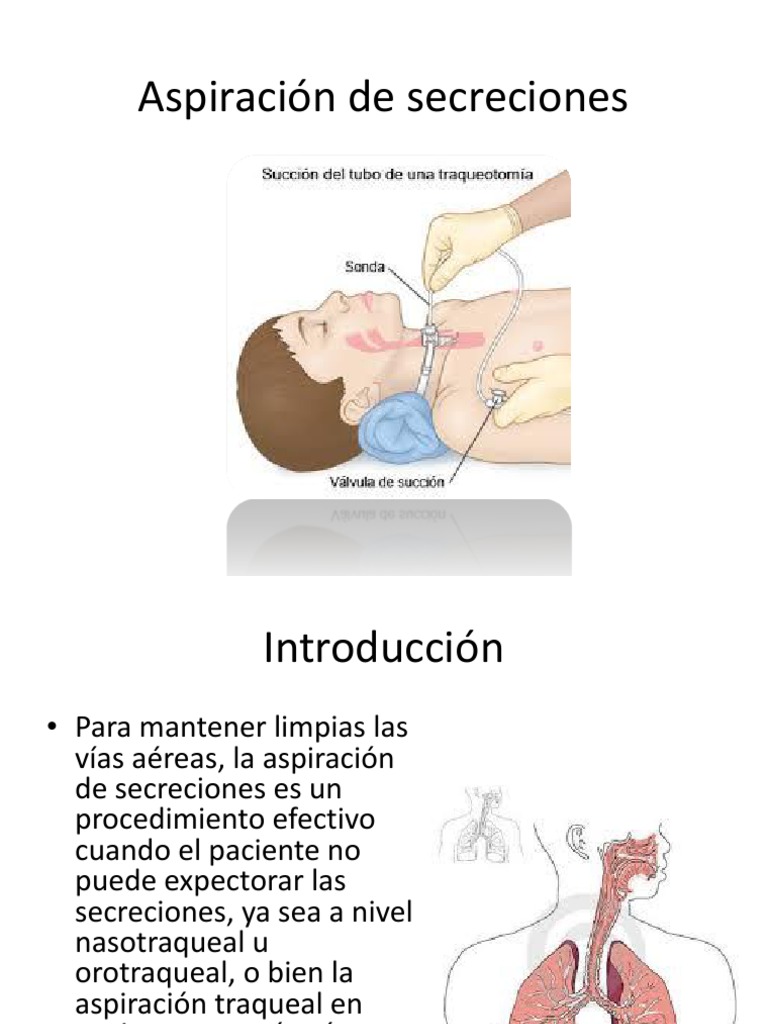 Aspiración De Secreciones Pdf Reanimación Cardiopulmonar Sistema