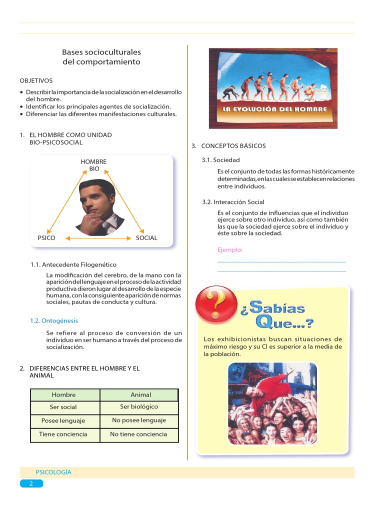 Guía 5 - Bases Socioculturales de Comportamiento | PDF | Socialización ...